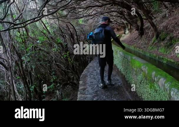 man walking mossy canal forest path under tunnel of branches ...