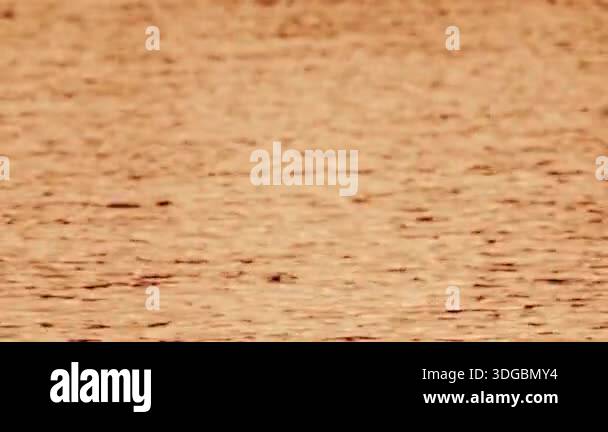 Close up of orange and gold sunset reflections moving across gentle ...