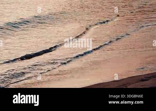Gentle sea waves rolling onto a sandy beach during sunset, with ...