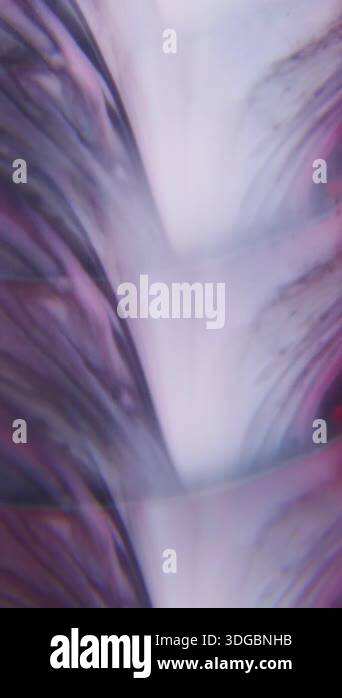 Vertical video. Ink spilling. Color flow. Defocused red white purple ...