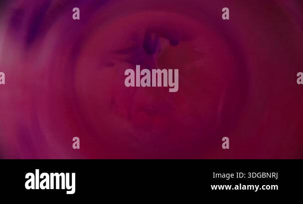 Paint splash defocused. Mix smoke. Purple pink pigment mist flowing in ...