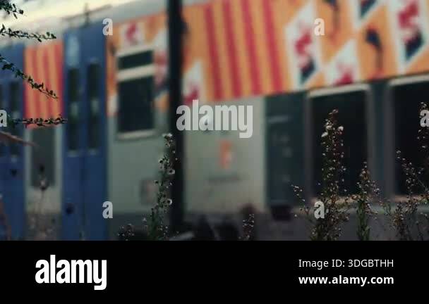 Side view of a passenger train moving past tall grass and plants near ...