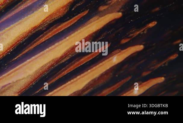 Shimmering stream blur. Dripping ink. Black pigment leak on yellow ...