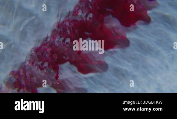 Defocused fume drop. Dye swirl. Red blue steam liquid paint dissolving ...