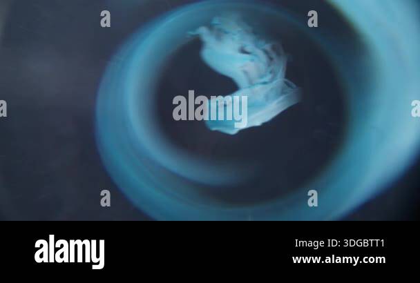 Smoke defocused vortex. Art fume. Blue paint drop curl spilling in ...