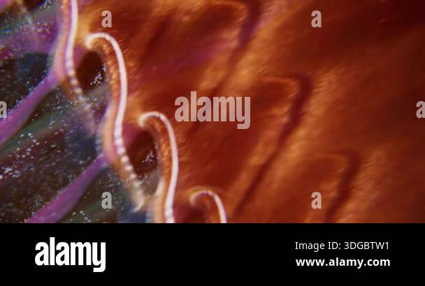 Paint leak blur. Lens fluid. Glitter wave stream mix color abstract ...