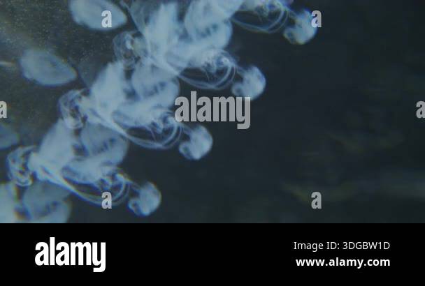 Blur fume explosion. Ink blob. Blue color dye dissolving underwater ...