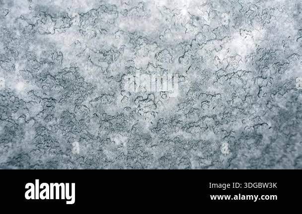 Close up view of an icy or frosted surface with fine texture and soft ...