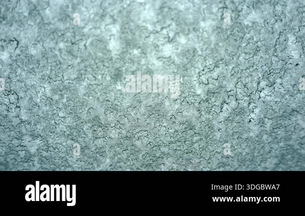 Close up view of an icy or frosted surface with fine texture and soft ...