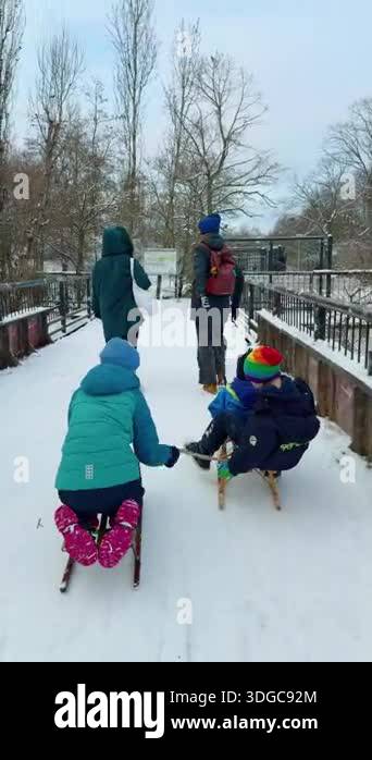 Children on sled pulled by mothers, enjoying the snow on a cold ...