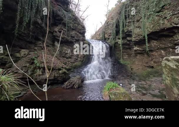 Hareshaw Linn waterfall on the Hareshaw Burn near Bellingham with ...
