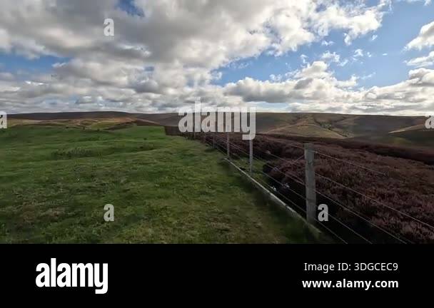 Hillwalker traversing upland moorland paths in the Lammermuir Hills of ...