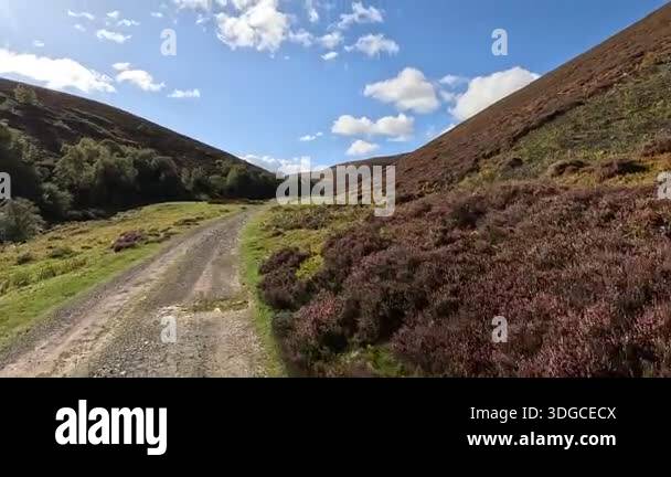 Hillwalker traversing upland moorland paths in the Lammermuir Hills of ...
