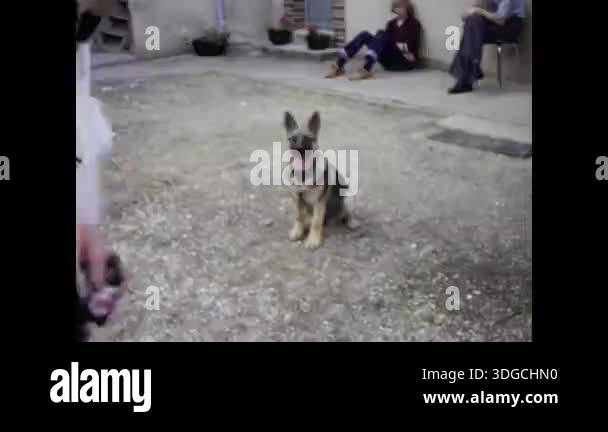 Paris, france december 1980: authentic 8mm home movie capturing a ...