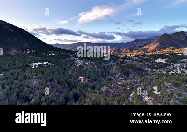 twilight pine valley panorama with soft evening light across wooded ...