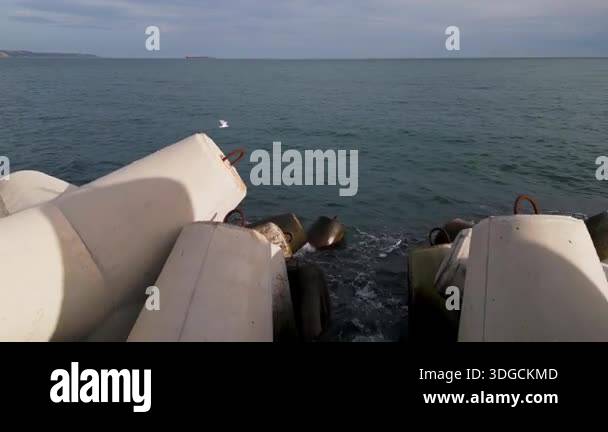 Video of massive concrete tetrapod breakwater blocks on a seacoast ...