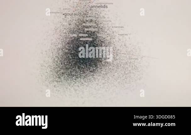 Data visualization of word embeddings Stock Video Footage - Alamy