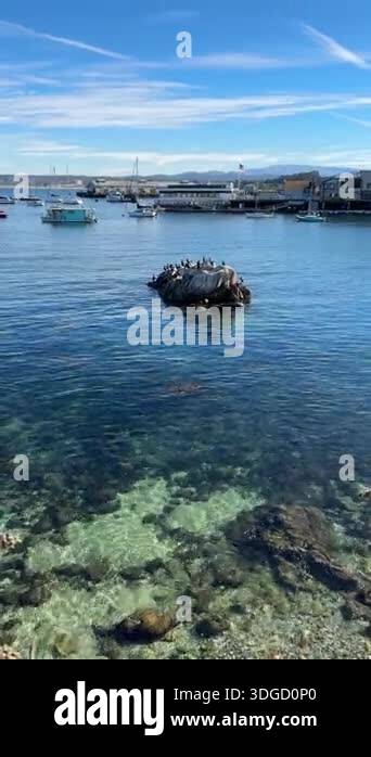 Anchored boats and birds on rocks in clear coastal water Monterey Stock ...