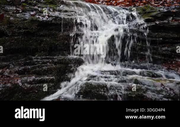 Beautiful mountain stream in forest at early spring time. Crystal clear ...