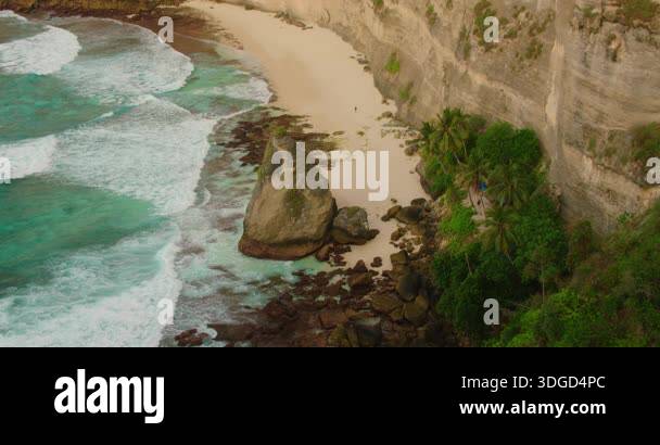 Tropical palm tree and jagged rock formation on Diamond Beach with ...