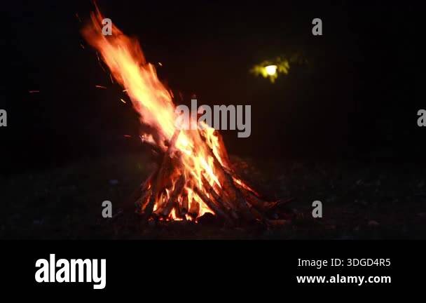 Burning campfire on dark night in forest. Active lifestyle, traveling ...