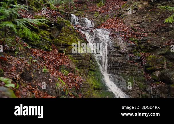 Mountain stream in beautiful forest during rain at early spring time ...
