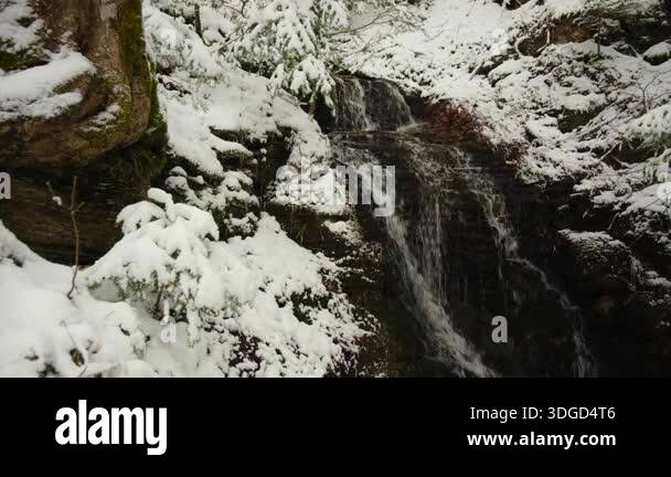 Beautiful winter forest waterfall during snowfall. Snowbound trees ...