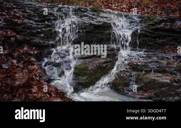 Beautiful small forest waterfall during rain at spring day. Crystal ...
