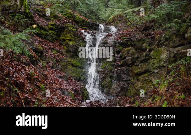Calm rain and beautiful mountain stream in forest at early spring time ...