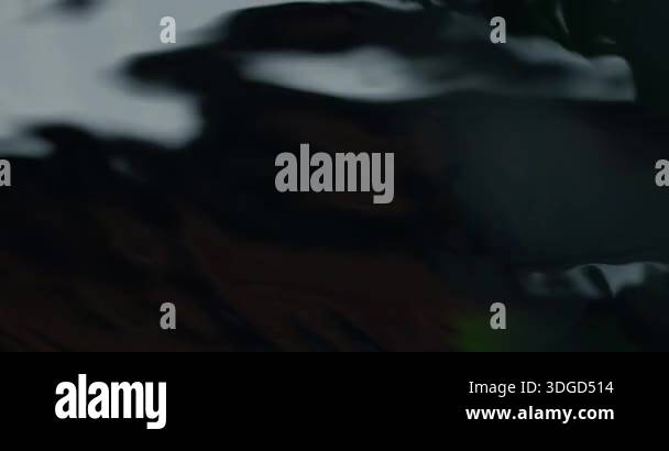 Relaxing Natural Water Ripples Captured in Slow Motion Stock Video ...