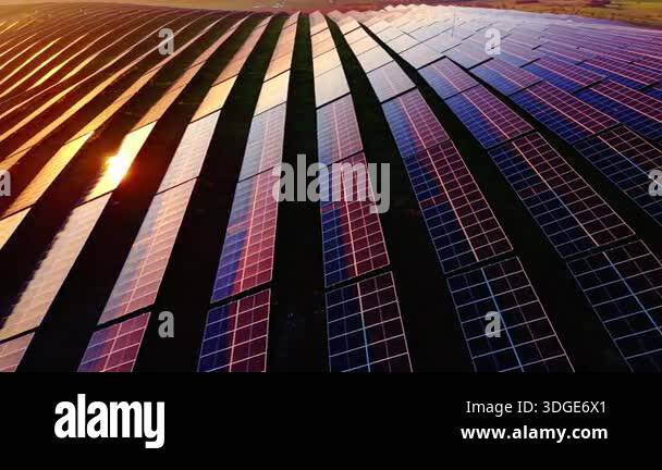 Perspective aerial view of long diagonal rows of purple solar panels ...