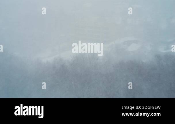 A snowstorm in winter. Many snowflakes are flying against the backdrop ...