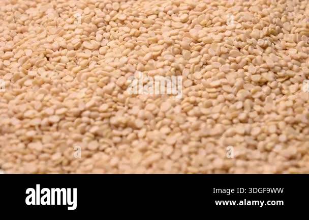 Dal texture Stock Videos & Footage - HD and 4K Video Clips - Alamy