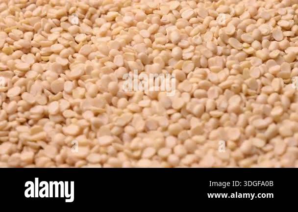 Rotate White Split Urad Dal Texture Top View - Raw Split Dried White ...