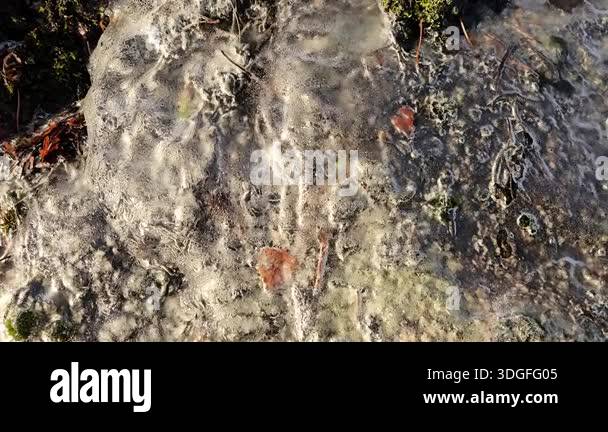 A thin stream of water flows beneath the layer of ice that has formed ...