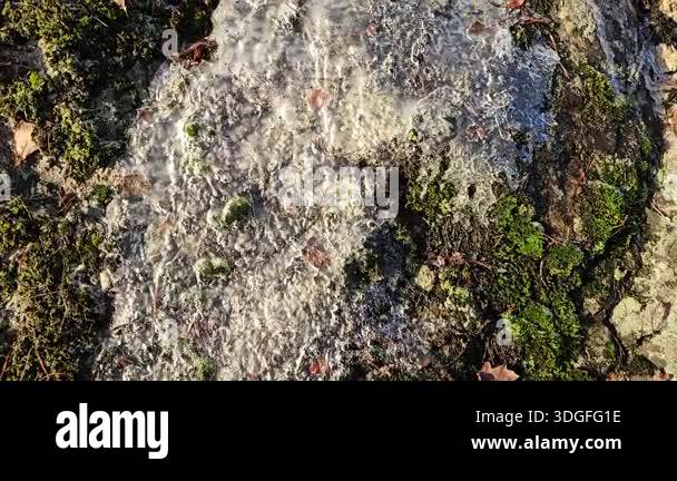 A thin stream of water flows beneath the layer of ice that has formed ...
