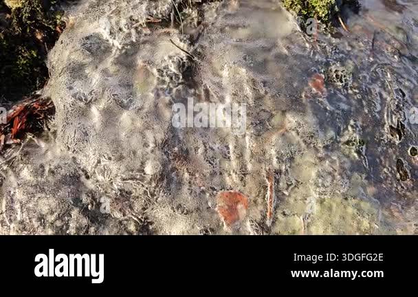 A thin stream of water flows beneath the layer of ice that has formed ...