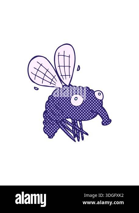 shine light effect animation of cartoon fly Stock Video Footage - Alamy