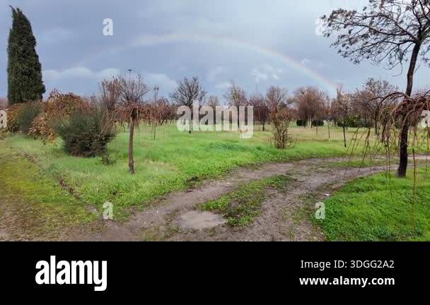 Rainbow Over Green Field After Rain In Peaceful Rural Landscape. High ...