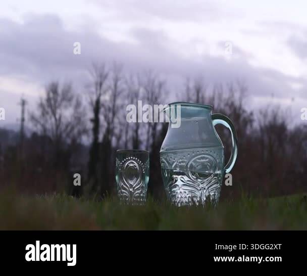 A glass pitcher and tumbler sit on a lawn against a soft natural ...