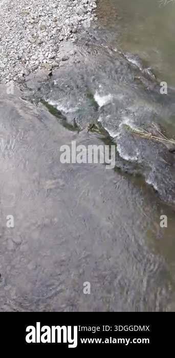 A fast-flowing river. Landscape of forests and rivers. View of the ...
