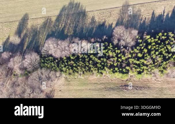 Sideways drone aerial drone shot of a rural landscape showing forest ...