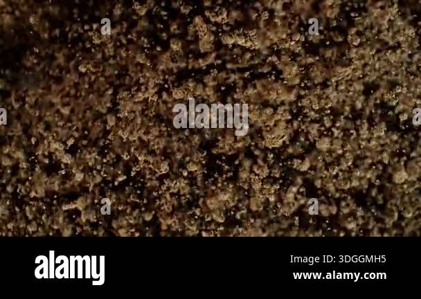 Super Slow Motion Shot of Exploding Soil Towards Camera at 1000fps ...