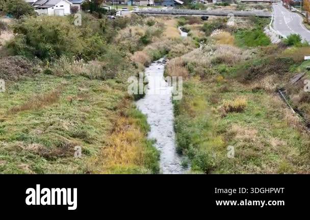 Small stream flowing through green landscape near road Stock Video ...