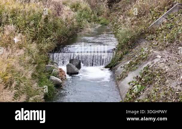 Small waterfall flowing through green grass and rocks Stock Video ...