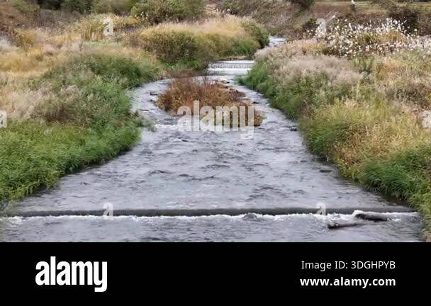 Flowing river surrounded by green grass and plants Stock Video Footage ...
