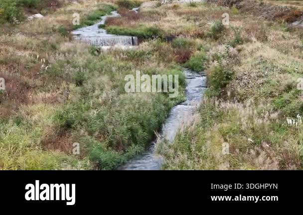 Small stream flowing through green grass and plants Stock Video Footage ...