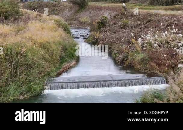 Small stream flowing through grassy landscape with rocks Stock Video ...