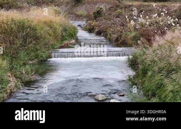 Small stream flowing over rocks and grass Stock Video Footage - Alamy