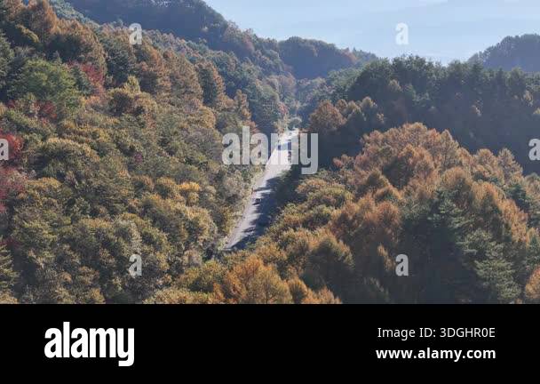 Winding road through colorful autumn forest landscape Stock Video ...
